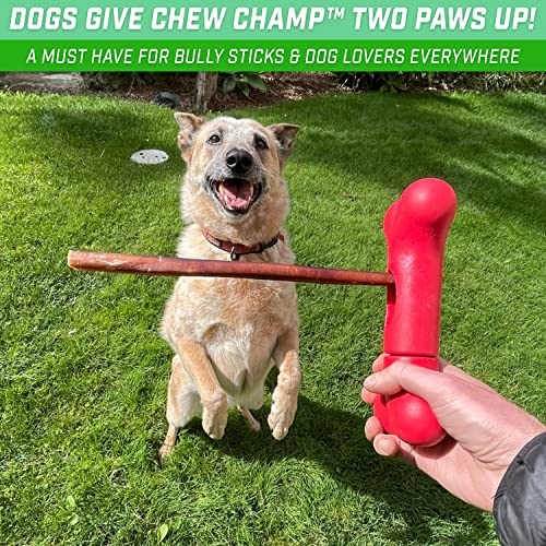 GoSports Chew Champ Bully Stick Holder for Dogs - Securely Holds Bully Sticks to Help Prevent Choking, Red - 8 Inch Size