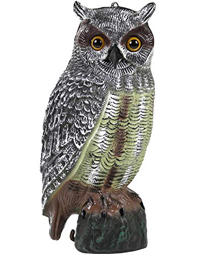 Galashield Owl Decoy | Plastic Owls to Scare Birds Away | Owl Statue for Garden & Outdoors