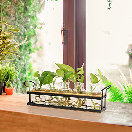 THYGIFTREE Plant Propagation Stations with Metal Stand, Tabletop Plant Terrarium for Propagating Hydroponic, Retro Glass Planter Flower Vase Home Kitchen Office Decor, Plant Lover Gifts, 5 Jars