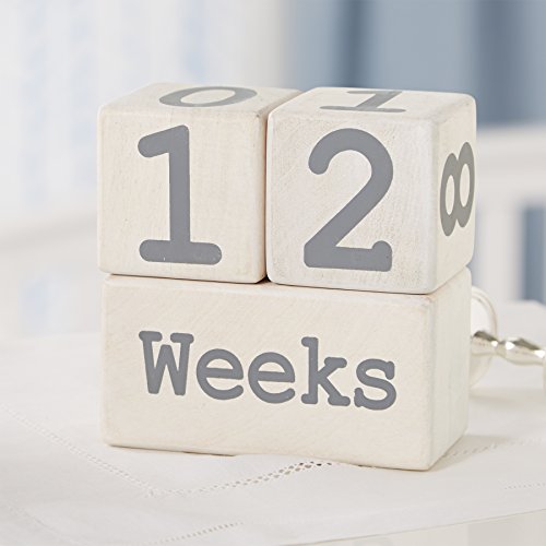 Mud Pie Milestone Blocks, White/Blue