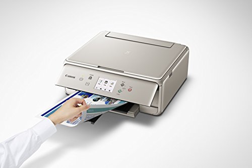 Canon Office Products PIXMA TS6020 GY Wireless Color Photo Printer with Scanner & Copier, Gray, Works for Alexa