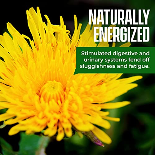 Dandelion Root Tea Detox Tea - Raw Organic Vitamin Rich Digestive (Dandelion Root, 20 Count (Pack of 3))