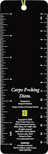 Carpe F*cking Diem Beaded Bookmark
