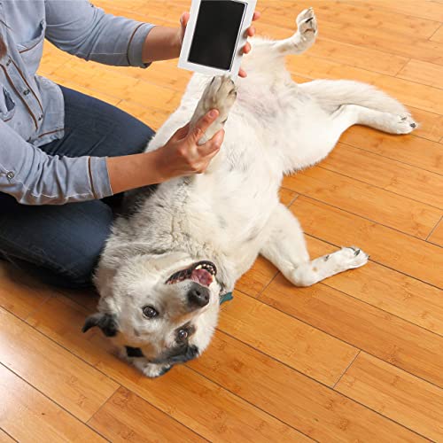 Green Pollywog - Extra-Large Clean Touch Inkless Ink Pad for Pets | Pawprints for Dogs & Cats Non-Toxic | Paw Print Stamp Kit | Dog Paw Print Kit | Cat Footprint Keepsake (2-Pack)