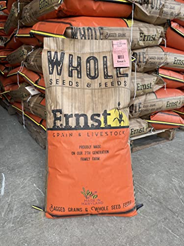 Ernst Grain Cracked Corn, Non-GMO β Perfect Feed for Ducks, Squirrels, Chickens, Ducks, Deer, Rabbits, Geese, and More! (50 lb)