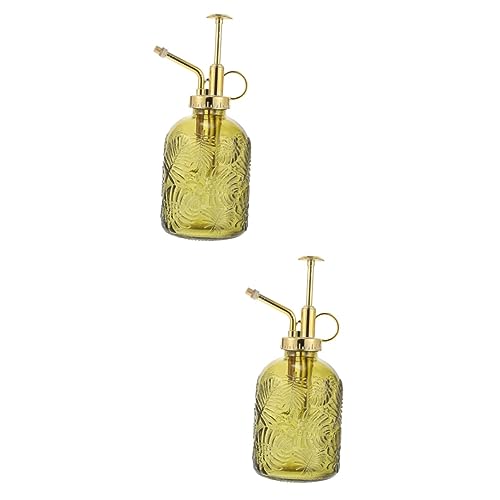 GANAZONO 2pcs watering can glass plant spray bottle spray bottle for plants transparent glass watering bottle vintage plant mister carafes plants decor suculentas High capacity plant bottle