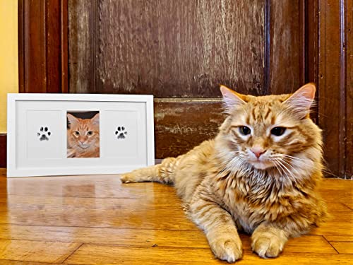 Green Pollywog - Extra-Large Clean Touch Inkless Ink Pad for Pets | Pawprints for Dogs & Cats Non-Toxic | Paw Print Stamp Kit | Dog Paw Print Kit | Cat Footprint Keepsake (2-Pack)