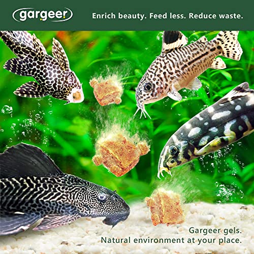 Gargeer 3oz Bottom Dweller Fish Food for Advanced Breeders. Complete Bottom Dweller Gel Diet for Both Juveniles & Adults. Made in The USA Using Premium Ingredients, Ocean Nutrition Gourmet Formula