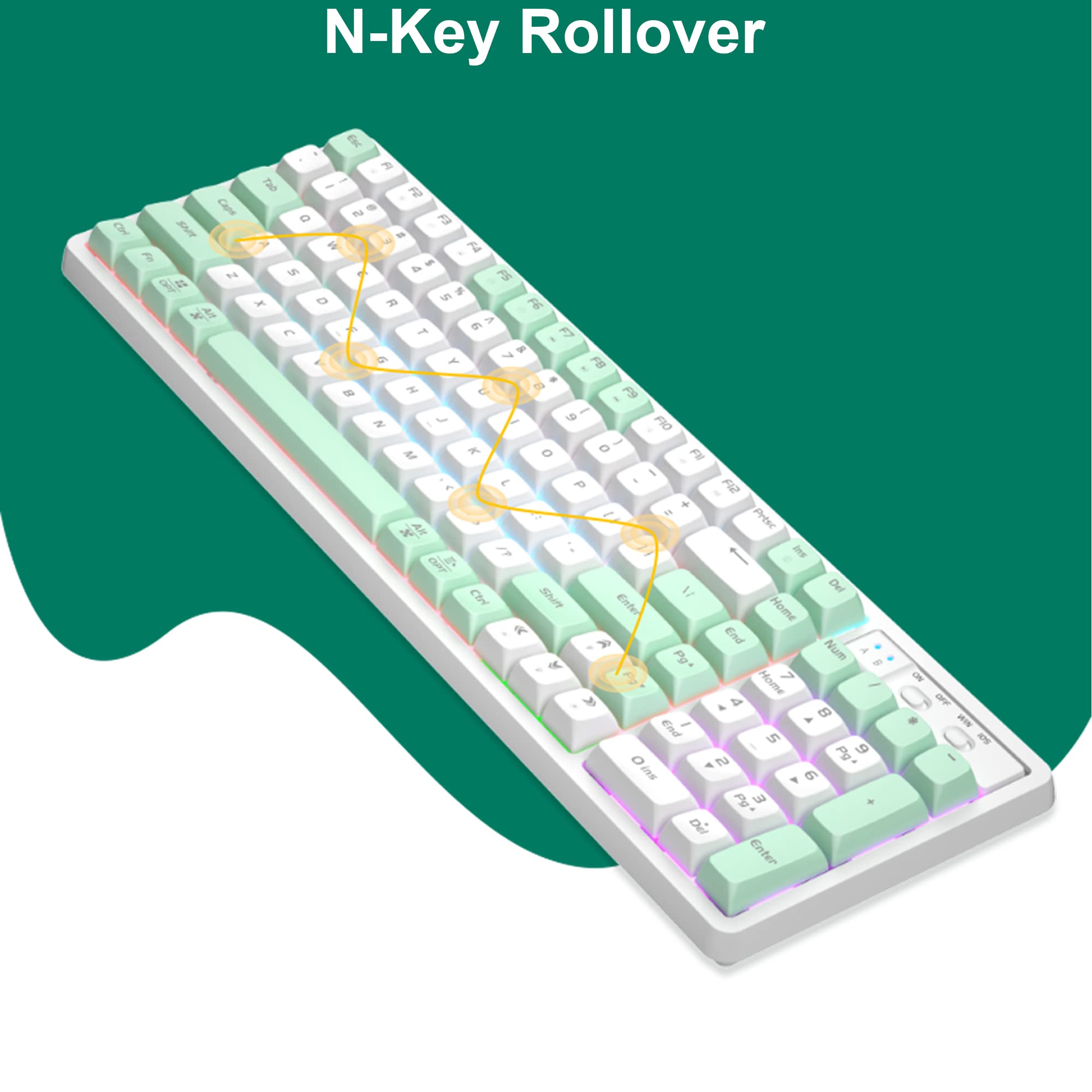 Fogruaden Hot Swappable Mechanical Keyboard, Light Gasket-Mounted, 102 Keys RGB Rainbow Backlit, Wired Ergonomic Full Size Keyboard for Win/Mac PC Gamer, Mechanical Golden Switches(Matcha Green)