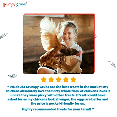 Grumpy Grubs Premium (5lbs) - Superior to Mealworms - Dried Black Solider Fly Larvae Treats for Hens Ducks Wild Birds, Calcium Rich and Healthy High Protein Chicken Treats