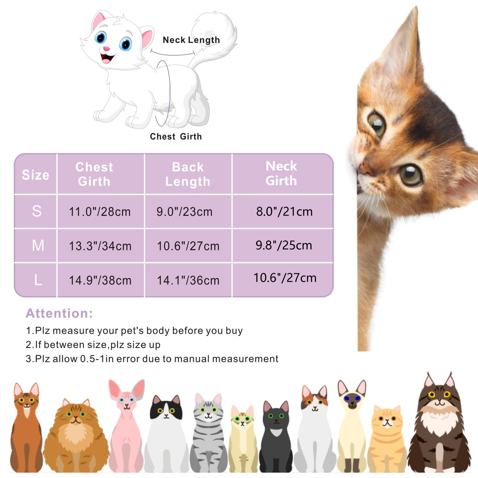 Idepet Cat Surgery Recovery Suit Kitten Onesie for Cats After Surgery Female Breathable Kitty Spay Suit for Abdominal Wound Skin Diseases E-Collar Alternative Wear(Purple,M)