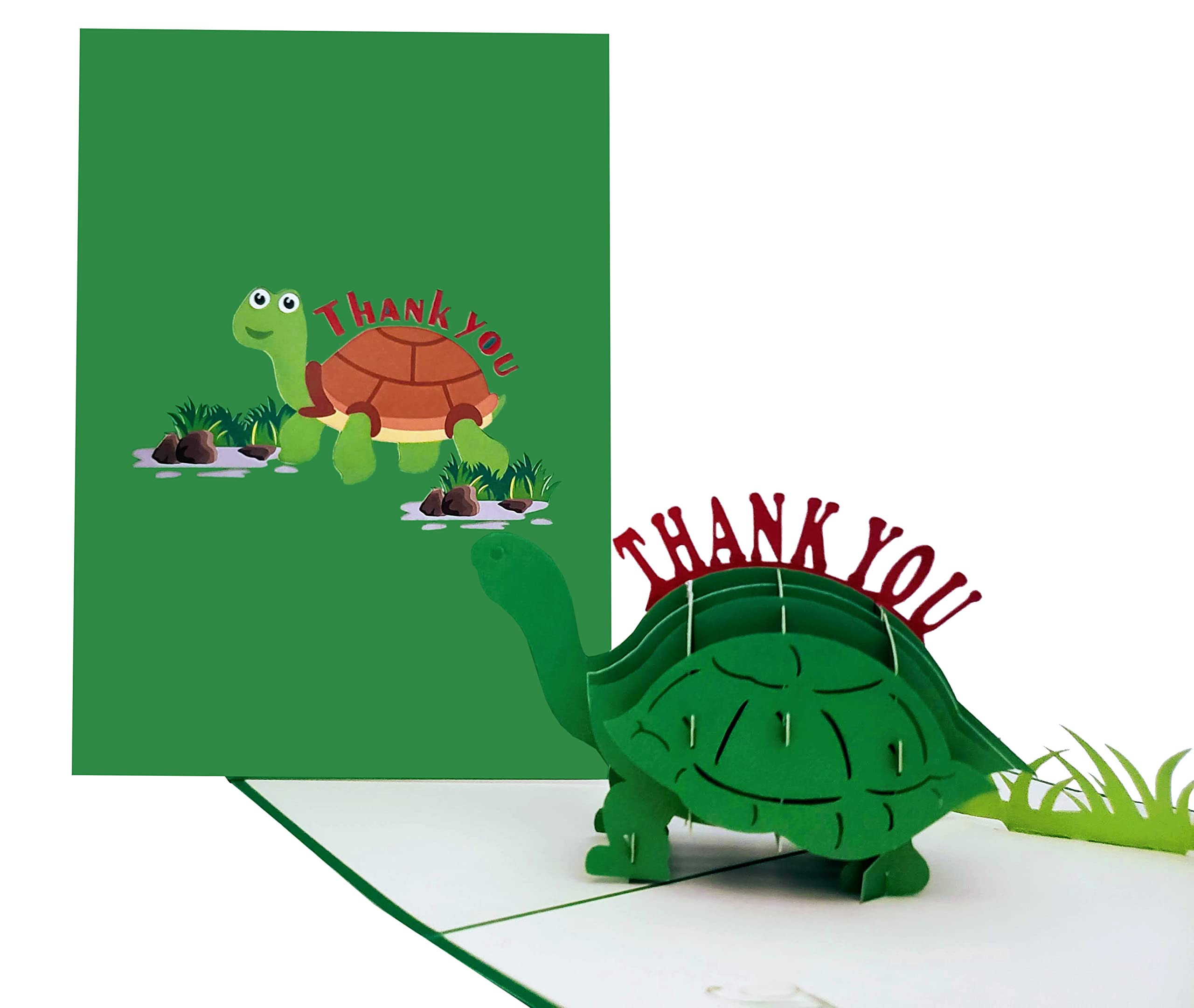 iGifts And Cards Cute Turtle Thank You 3D Pop Up Greeting Card - Funny Animals, Turquoise, Blank, Cool, Fun, Half-Fold, Thank You, Gratitude, Appreciation, Friendship, Best Friend, Belated, Kids, Grad