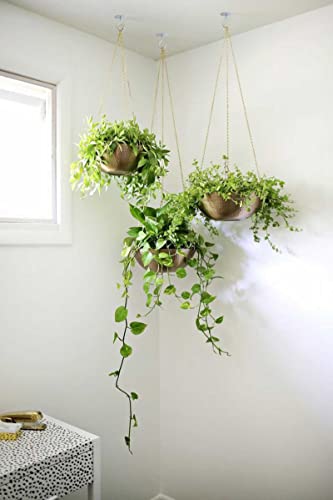Pastlla 4Pcs Ceiling Hooks, Wall Mount Ceiling Metal Hooks Hanger Iron Bracket Hooks for Hanging Plants Flowerpots Lanterns Decoration Lights, for Indoor & Outdoor Use 2.17" (White)