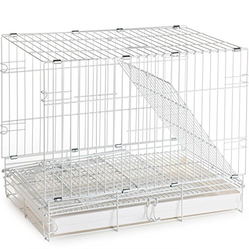 Two Size, Large Travel Vet Collapsable Parrot Bird Carrier Cage