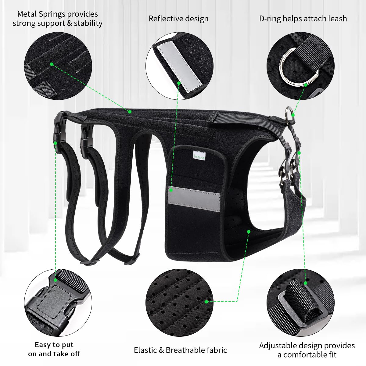 In hand Back Brace for Dogs, Canine Dogs Back Brace Helps Small Dogs with IVDD, Arthritis, Surgery Recovery, Spinal Disc Pain Relief, Back Protector Support for Back Disease Prevention