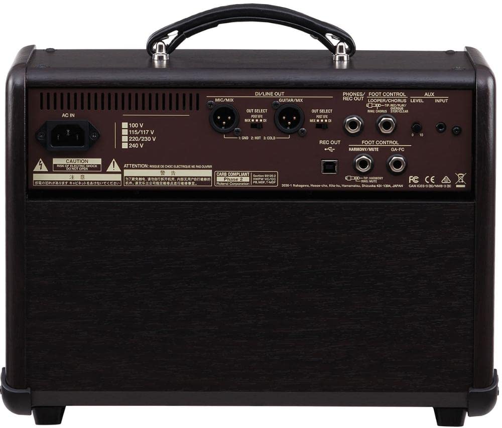 Boss Acoustic Singer Live 60-Watt Bi-Amp Acoustic Combo with FX