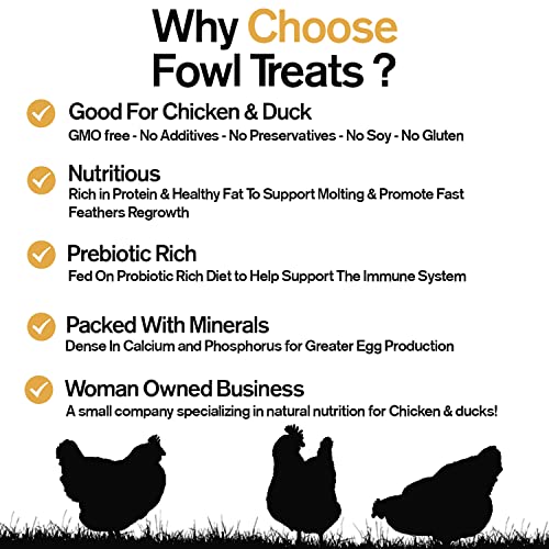 Fowl Treats Naturally Fortified Mealworms - Protein Rich Supplements Suitable for Hens and Ducks, Contains USA Grown Ingredients β Helps with Bone Strength, Feathers & Molt β 8oz