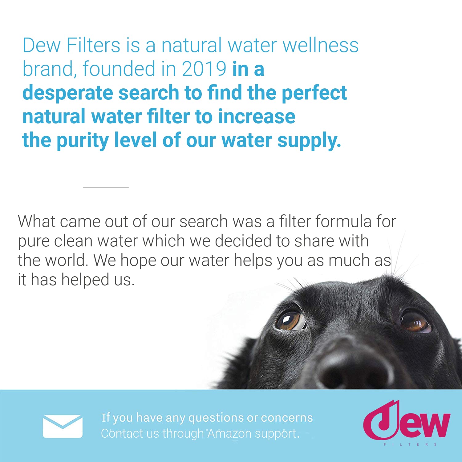 DEW FILTERS UK | BB9-2 Black Water Filter Purification Compatible Elements | PLUS PRIMER BUTTON | Traveler, Nomad, King, Big Series & Doulton Super Sterasyl | Gravity Purifier Filters