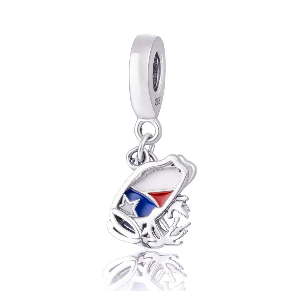 CHESIRT Puerto Rico Map Flag Charm, Frog Pendant Charm,Animal Enamel Charm 925 Sterling Silver Fit European Bracelet&Necklace