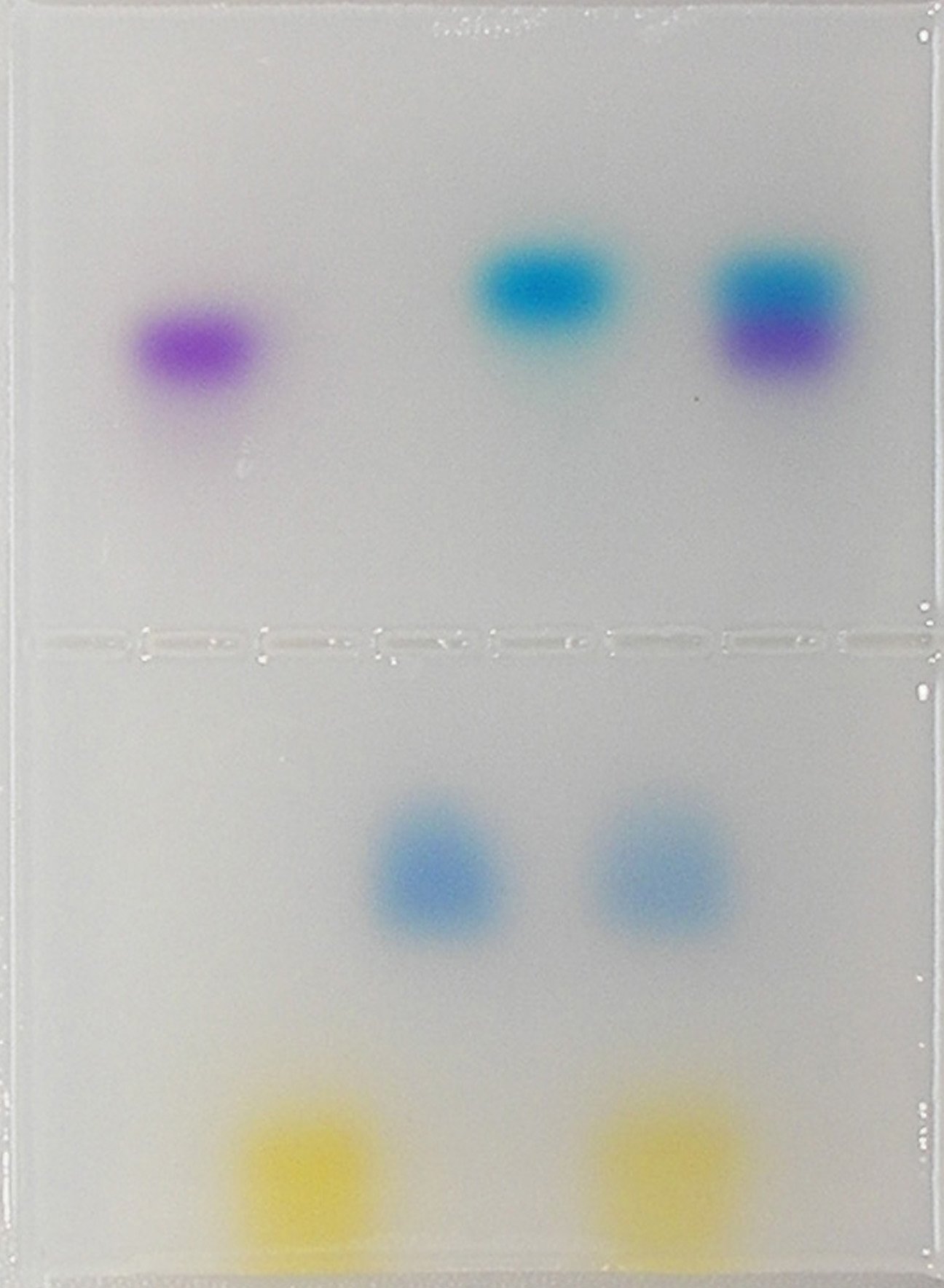 Innovating Science Electrophoresis: Agarose Gel Separation of Dyes Kit
