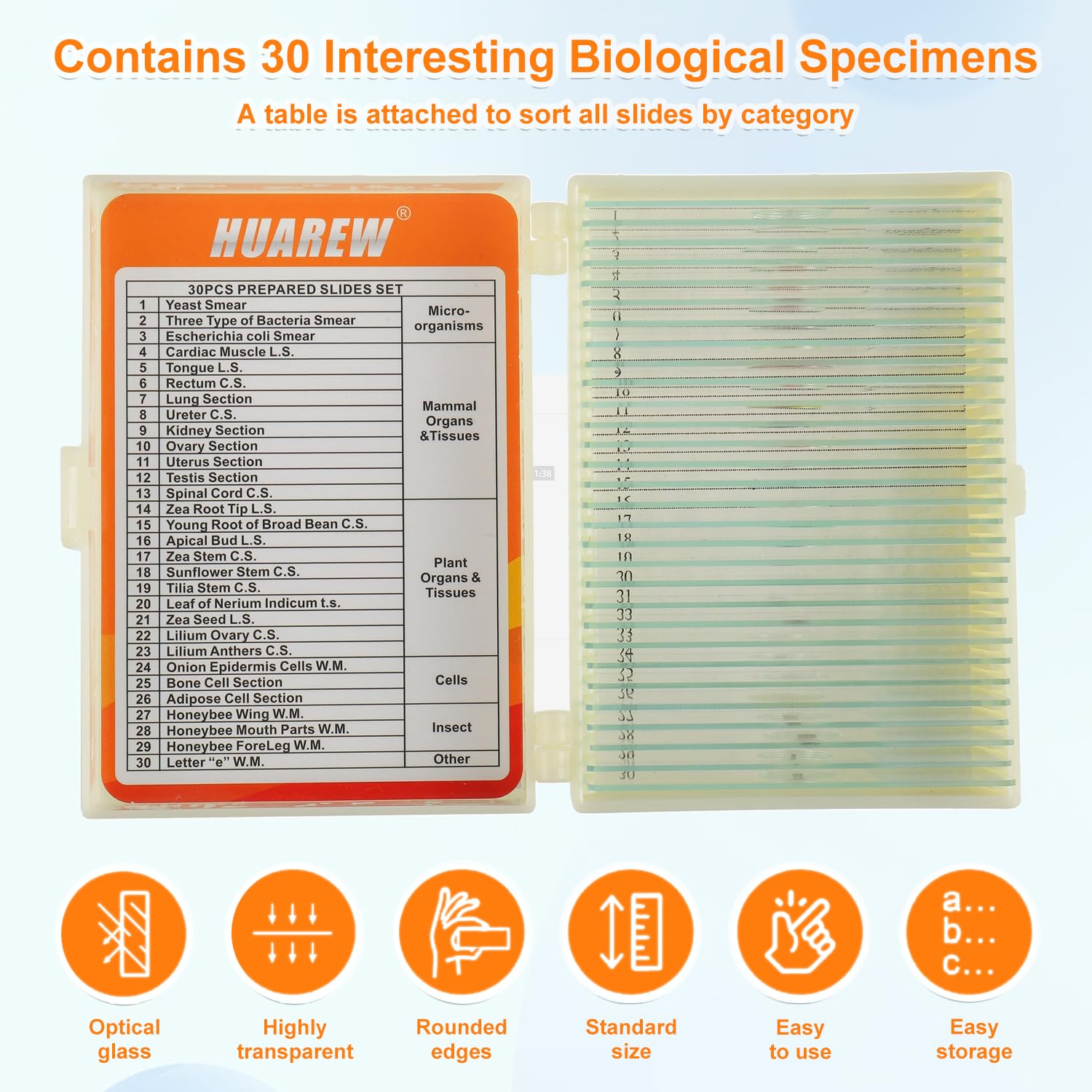 HUAREW 30 Pcs Microscope Slides with Specimens for Kids, Glass Prepared Slides Set for Microscope Accessories, Biology Gifts and Basic Science for Kid Education