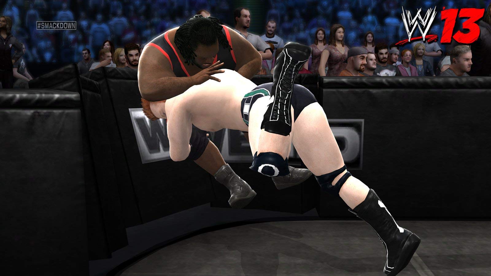 WWE '13 (Renewed)