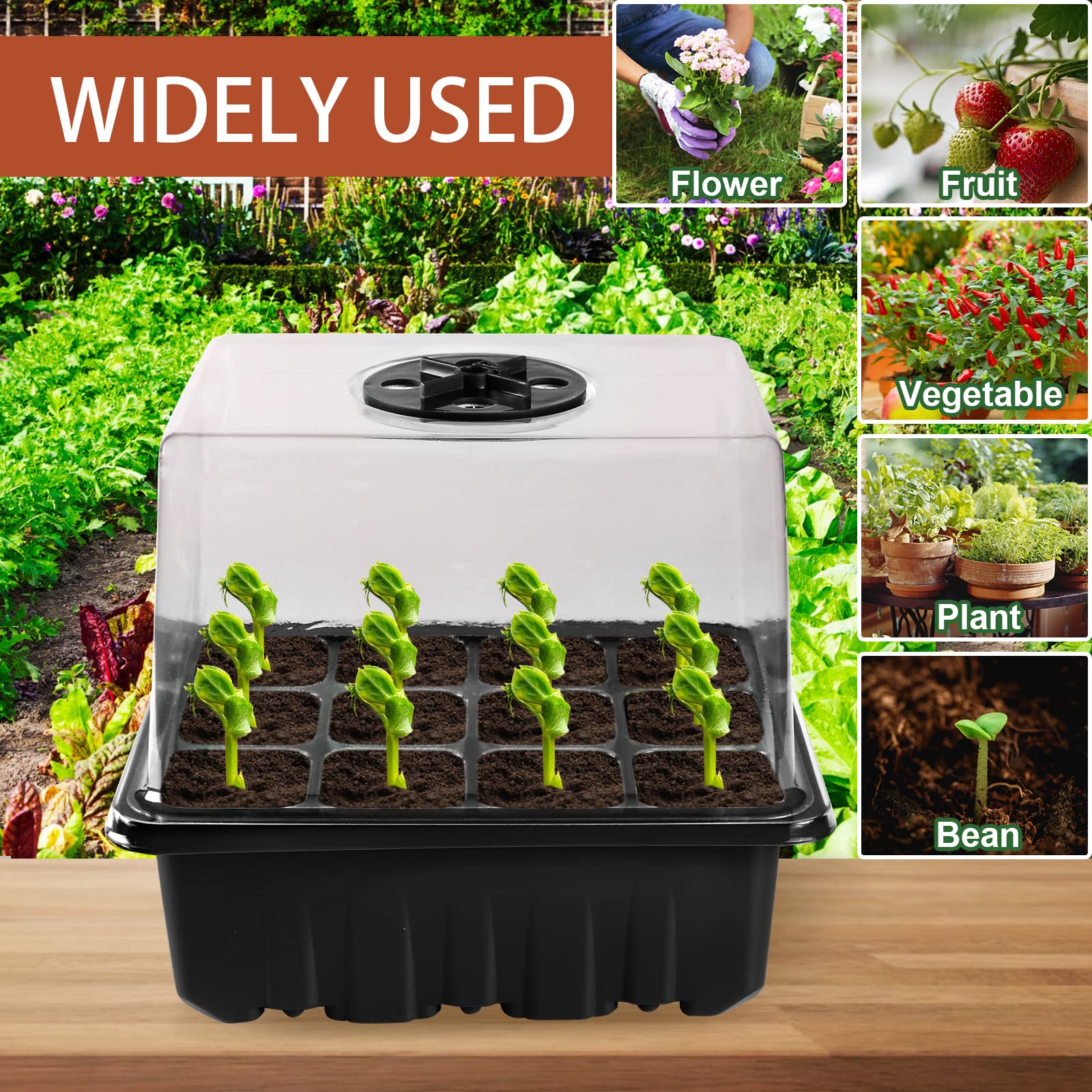 Cookmaster Seed Starter Tray, 6 pack Seed Starter Kit with Grow Light, Seedling Trays with Humidity Domes, Covers Height 3.9", Indoor Gardening Plant Germination Trays (12 Cells per Tray)