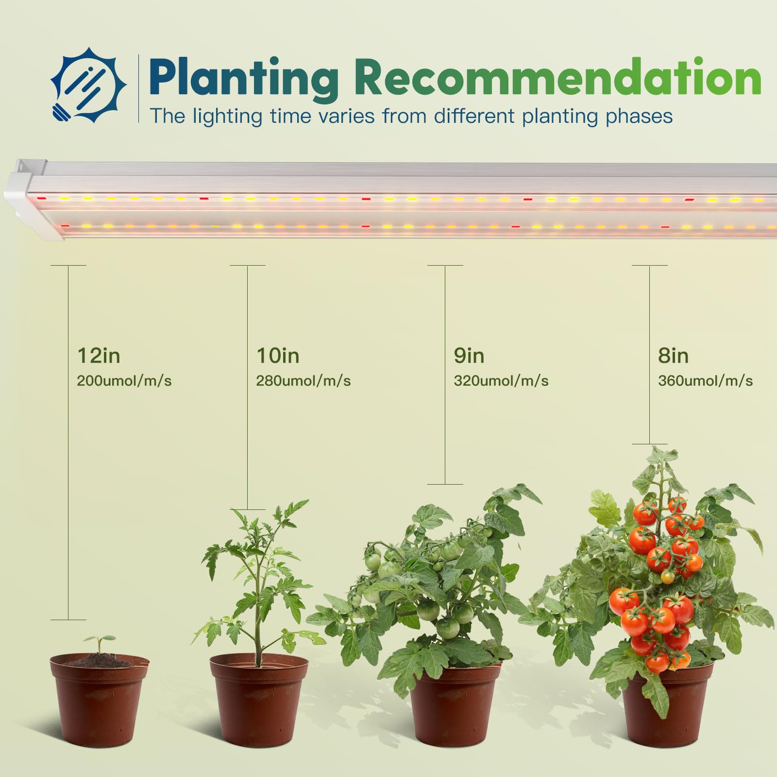 FREELICHT 1 Pack 2ft LED Grow Light, 30W (175W Equivalent), Sunlike Full Spectrum Integrated Plant Light for Hydroponic Indoor Plant Seedling Veg and Flower, Plug in with On/Off Switch