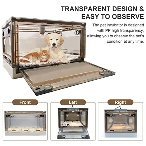 GIFANK Incubator for Puppies with Heating Large PET Brooder Nursery Kitten Incubator for Puppies with Pet Bed Mat,Pet Medicine Feeder,Temperature Detection and Nebulization Kit,8PCS