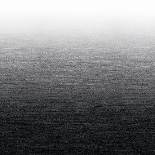 RecPro RV Awning Fabric Replacement | Universal Fit | 8-22ft Sizes | Heat Sealed Vinyl (15' - Actual Width 14' 1", Charcoal Fade)