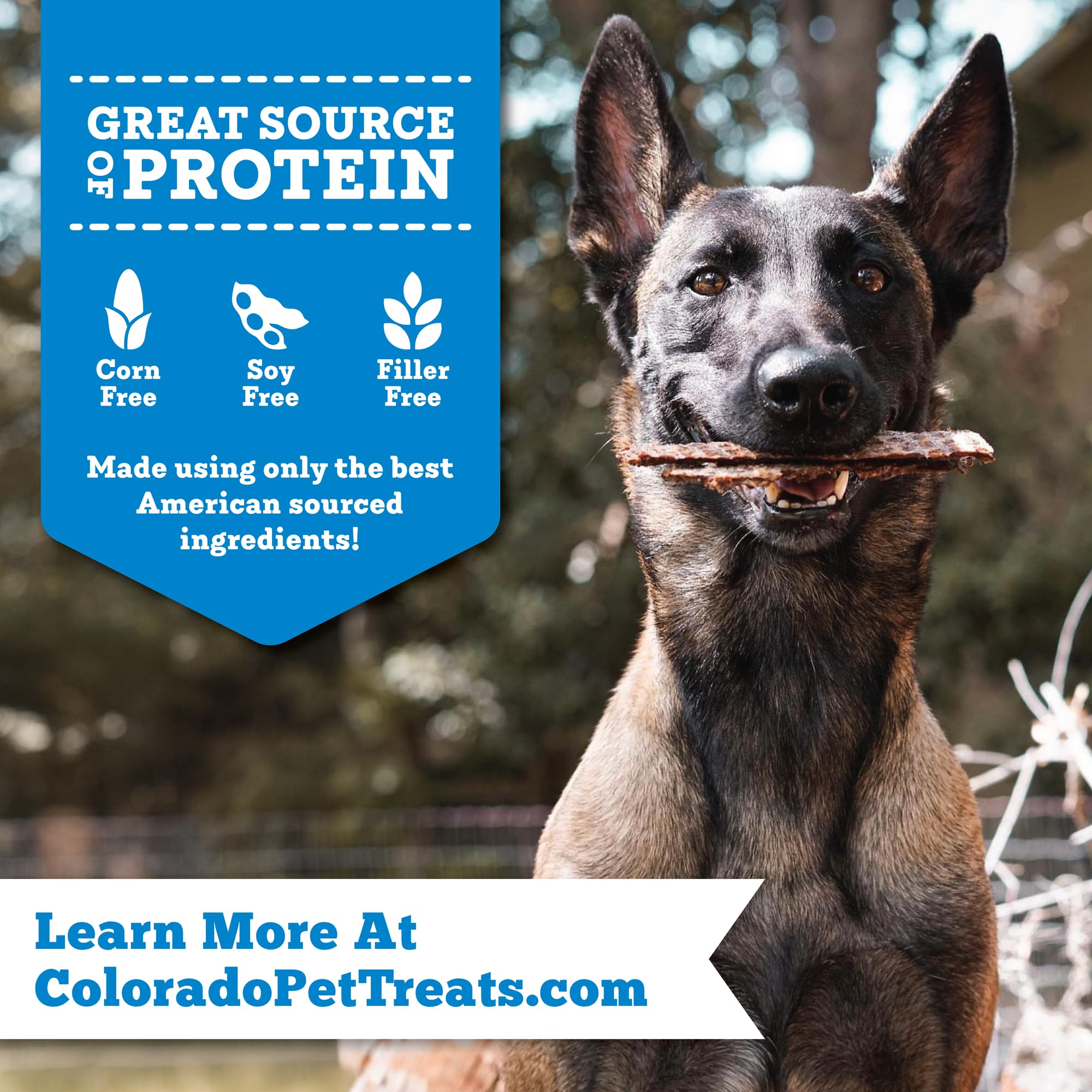 Fresh Field Salmon & Sweet Potato Jerky Chips, 5 oz – All-Natural Dog Treats, USA Made, No Fillers, Omega-3 Rich