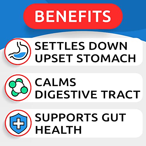 Pumpkin for Dogs - 8.1oz Powdered Fiber Supplement and Stool Softener - Treat Diarrhea, Constipation, Upset Stomach, Food Sensitivity - Improve Digestion - Made in USA