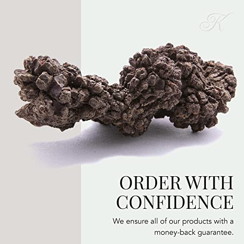 KALIFANO Authentic Prehistoric Dinosaur Coprolite Feces Trace Fossil - Fossilized Dinosaur Dung Poop Coprolite from Madagascar (Information Card Included)
