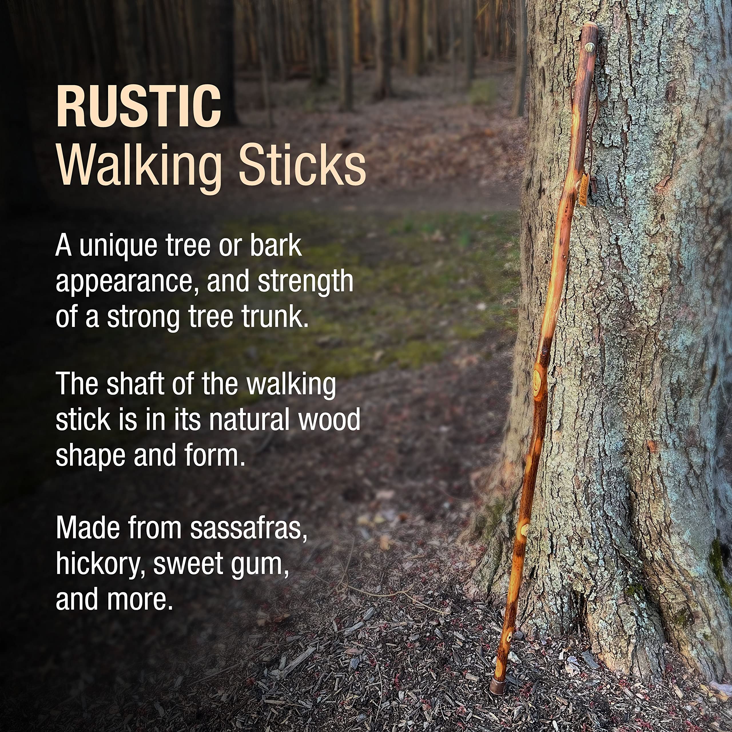 Brazos Rustic Wood Walking Stick, Hickory, Traditional Style Handle, for Men & Women, Made in the USA, 55"