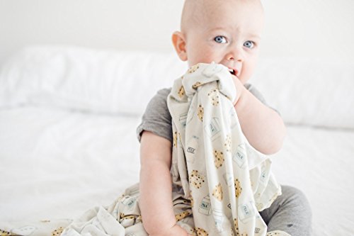 Copper Pearl Large Premium Knit Baby Swaddle Receiving Blanket Chip