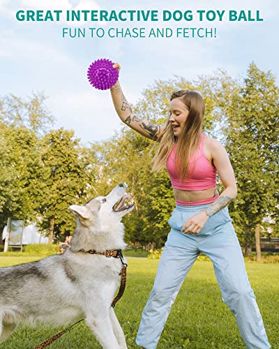 Pweituoet 2 Pack 4.5” Heavy Duty Squeaky Dog Ball for Medium Large Dogs, Spikey Dog Ball Toys for Clean Teeth and Training, Large Dog Toys for Aggressive Chewers…