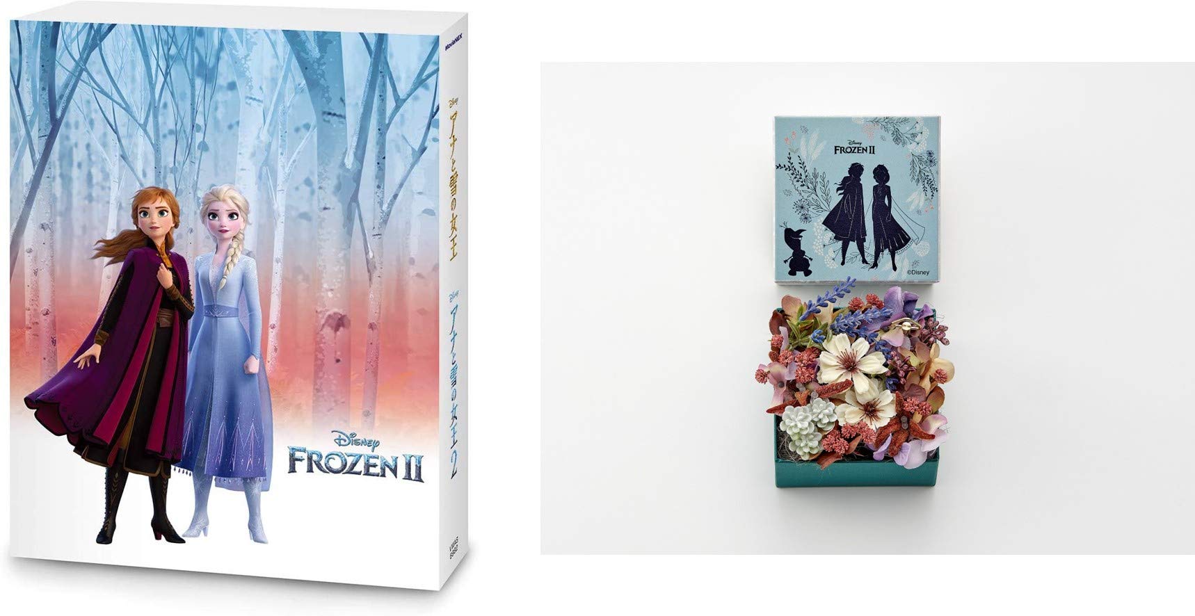 アナと雪の女王２ MovieNEX [ブルーレイ+DVD+デジタルコピー+MovieNEXワールド]