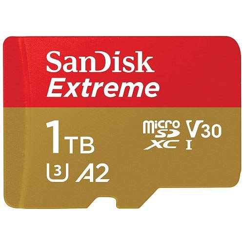 SanDisk Extreme 1TB Memory Card for GoPro Action Camera Hero 11 Black and Hero11 Black Mini (SDSQXAV-1T00-GN6MN) V30 A2 UHS-I U3 Class 10 Bundle with 1 Everything But Stromboli MicroSDXC Card Reader