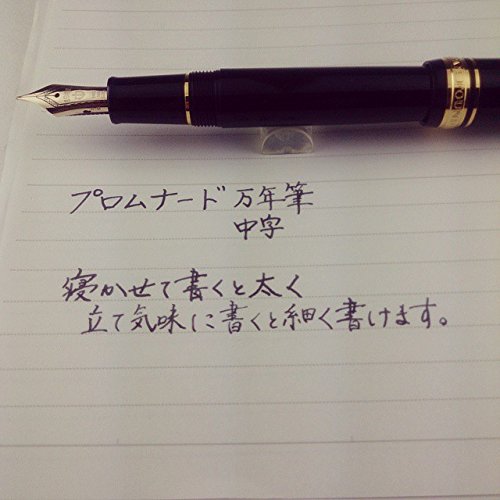 Sailor Pen fountain pen Promenade in fine 11-1031-340 Shining Blue