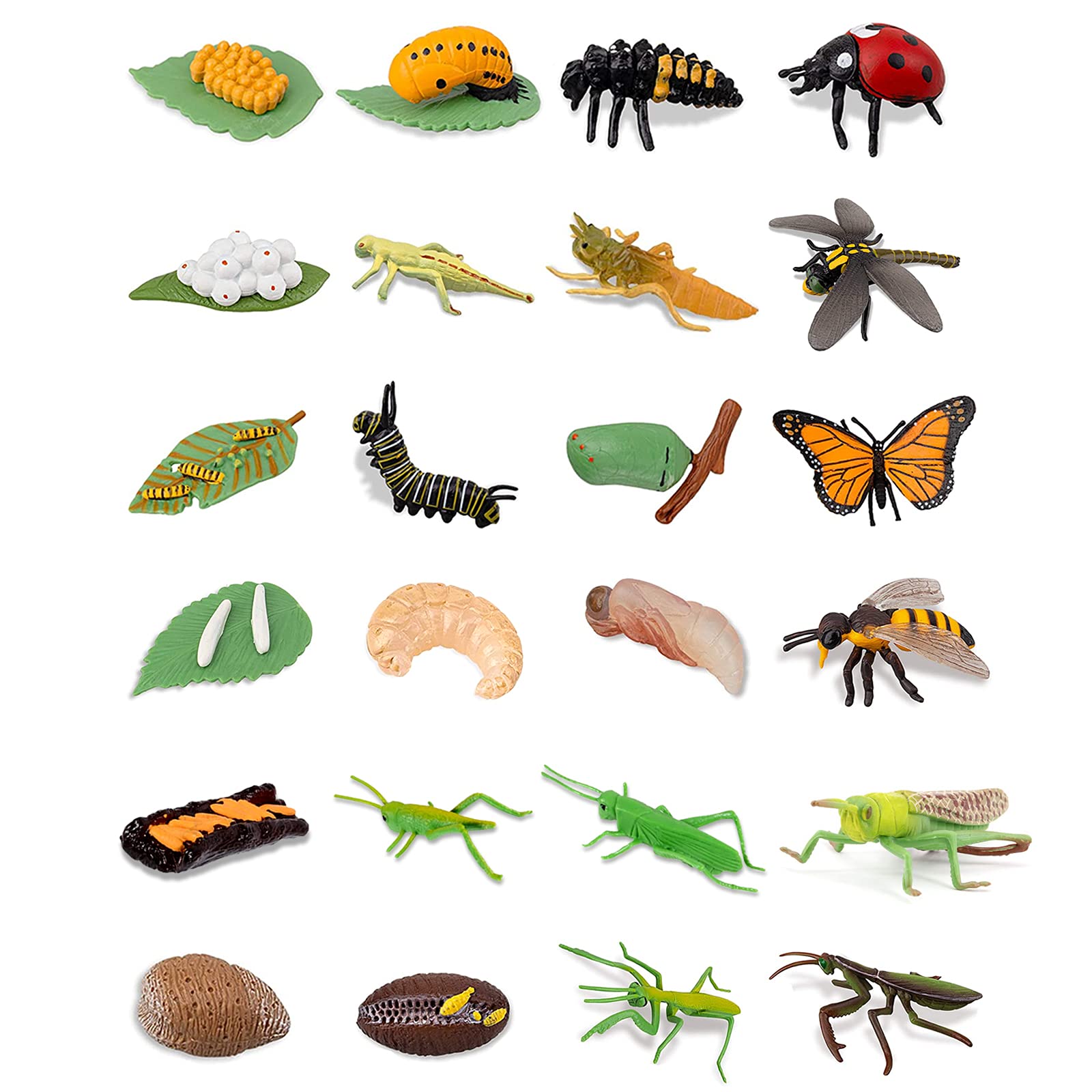 Odowalker 24PCS Life Cycle Figures,Insect Figurines Life Cycle of Monarch Butterfly,Honey Bee,Ladybug,Praying Mantis,Dragonfly,Grasshopper Safariology Bug Figures Kits Educational School Project