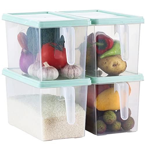 PENGKE 4 Pack Fridge Organizer,Plastic Food Storage Container with Lid and Handle,Fruit Refrigerator Organizer Bins for Kitchen Fridge Desk Cabinet Food Storage to Keep Fresh Furit Eggs Vegetables,5L