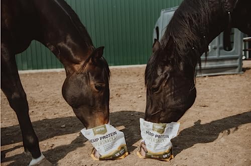 Hemptana Hemp Protein Supersnacks for Horses - Horse Treats to Support Digestive, Cognitive, & Joint Health - Improved Equine Stress Response β High Protein Horse Supplement - (4 lbs)