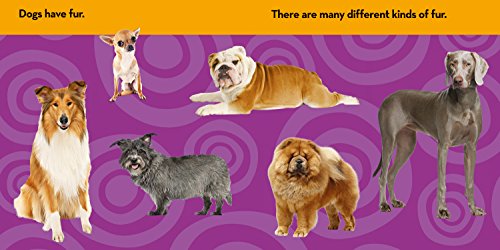 National Geographic Kids Look and Learn: Dogs (Look & Learn)