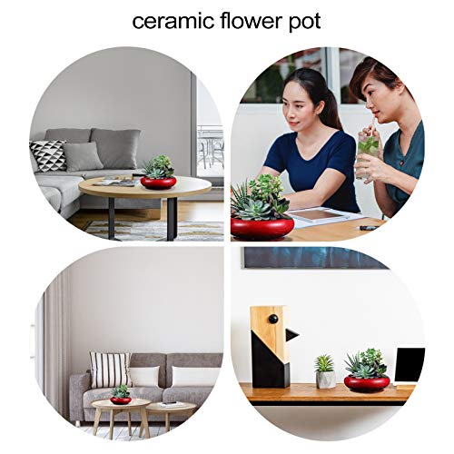 Funny Flower Pots Succulent Planters 1PC Retro Large Round Succulent Planter Pots Hydroponic Ceramic Vessel with Hole Bonsai Planter Bowl Plant Container Succulent Planter Bonsai Planter
