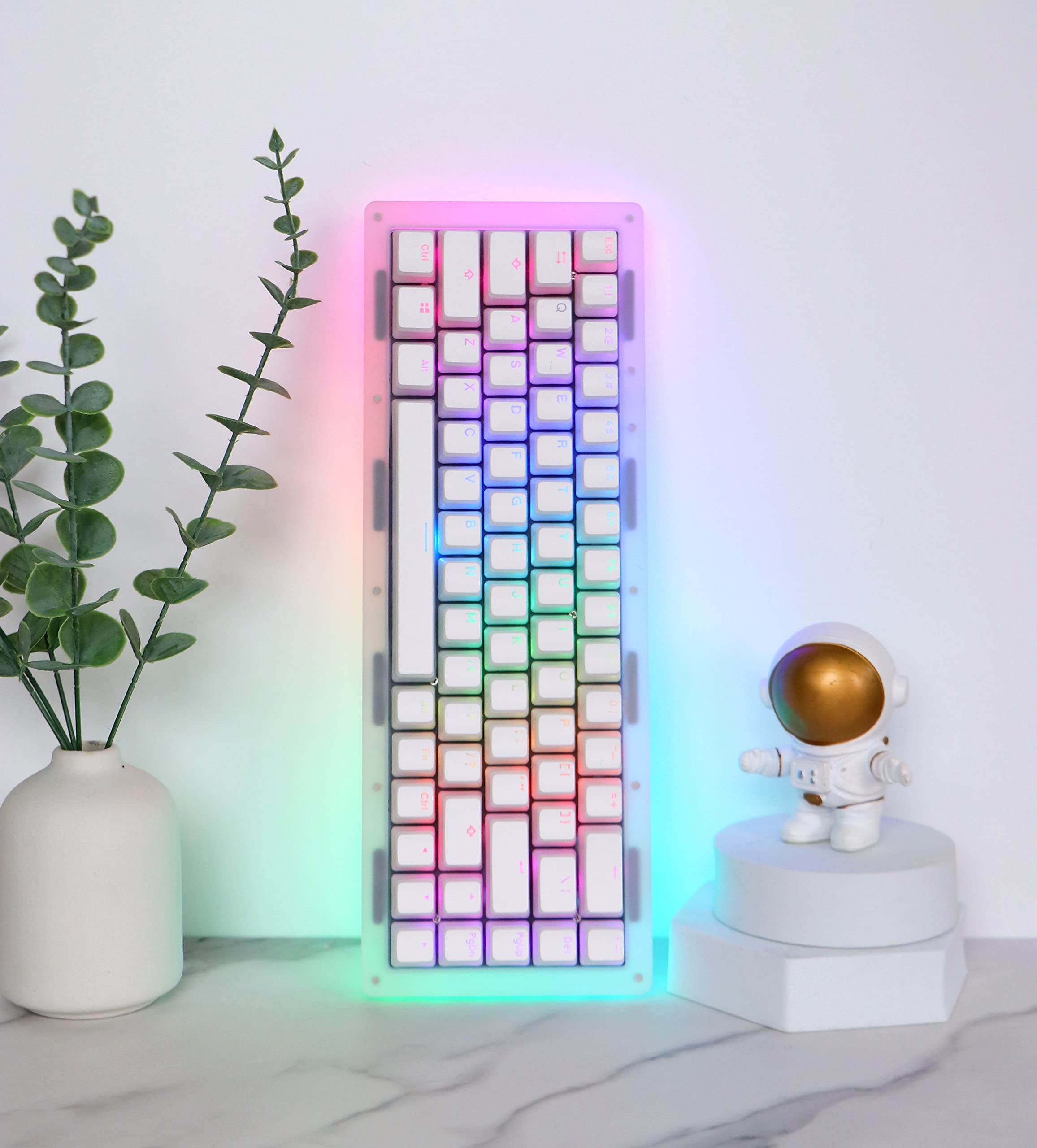 EPOMAKER TK68 65% Gasket Acrylic Hot Swappable 2.4Ghz/Bluetooth 5.0/USB-C Wired Wireless Gaming Keyboard with RGB Backlight, Translucent Pudding Keycaps for Office/Home/Win/Mac(Budgerigar Switch)