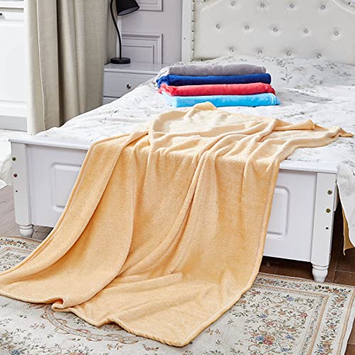 Juexica 20 Pcs Fleece Blanket Bulk Plush Throw Blankets Lightweight Warm Cozy Pet Friendly Solid Color for Home, Office, Wedding, Gifts, Outdoor, Camping, 40 x 60 Inches, Grey, Dark Blue, Red, Orange