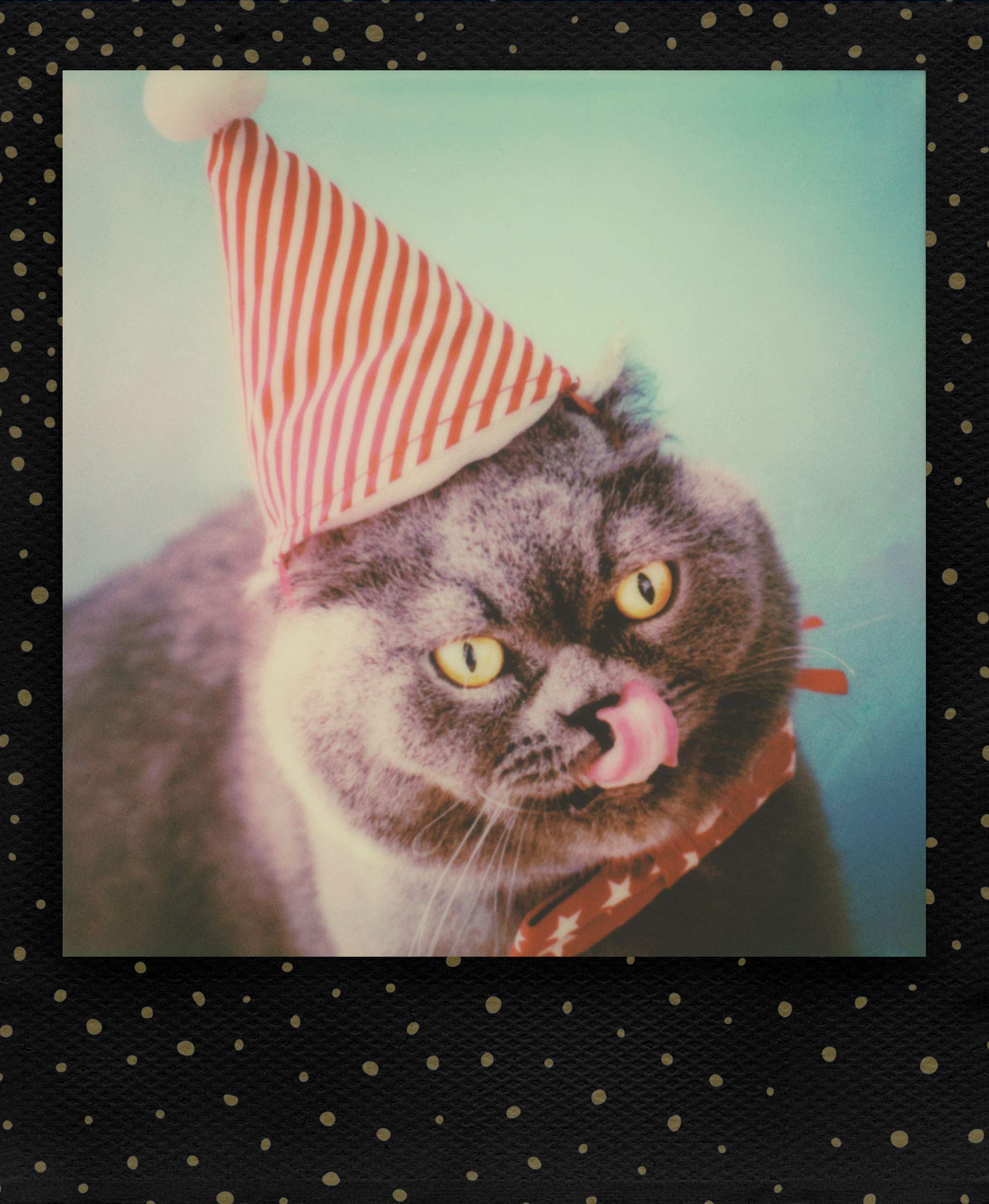 Polaroid Originals - 4932 - Color Film for 600 - Gold Dust Edition