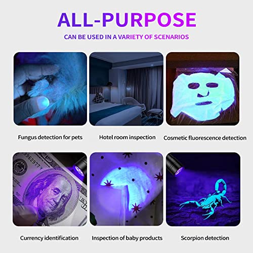 LELUOHQ Black UV Handheld Flashlights,9 LED Mini Light 395nm,Portable Pet Stain Detector for Pet Urine,Bed Bugs