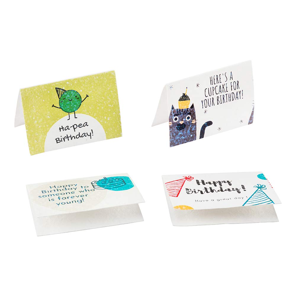 Habitage Seed Paper Birthday Greeting Cards - Set of 12 Eco-friendly Plantable Cards with Envelopes and Gift box | Variety Pack | Recycled Paper Embedded with Holy Basil seeds