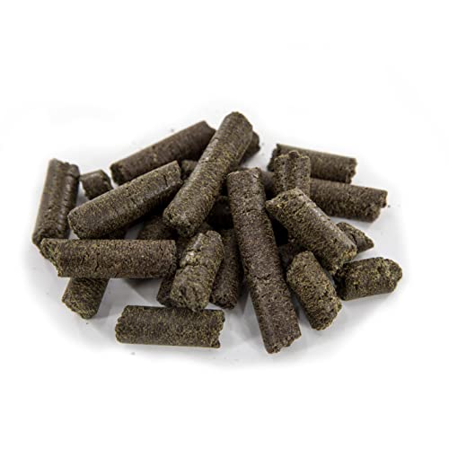 Hemptana Hemp Protein Supersnacks for Horses - Horse Treats to Support Digestive, Cognitive, & Joint Health - Improved Equine Stress Response β High Protein Horse Supplement - (4 lbs)